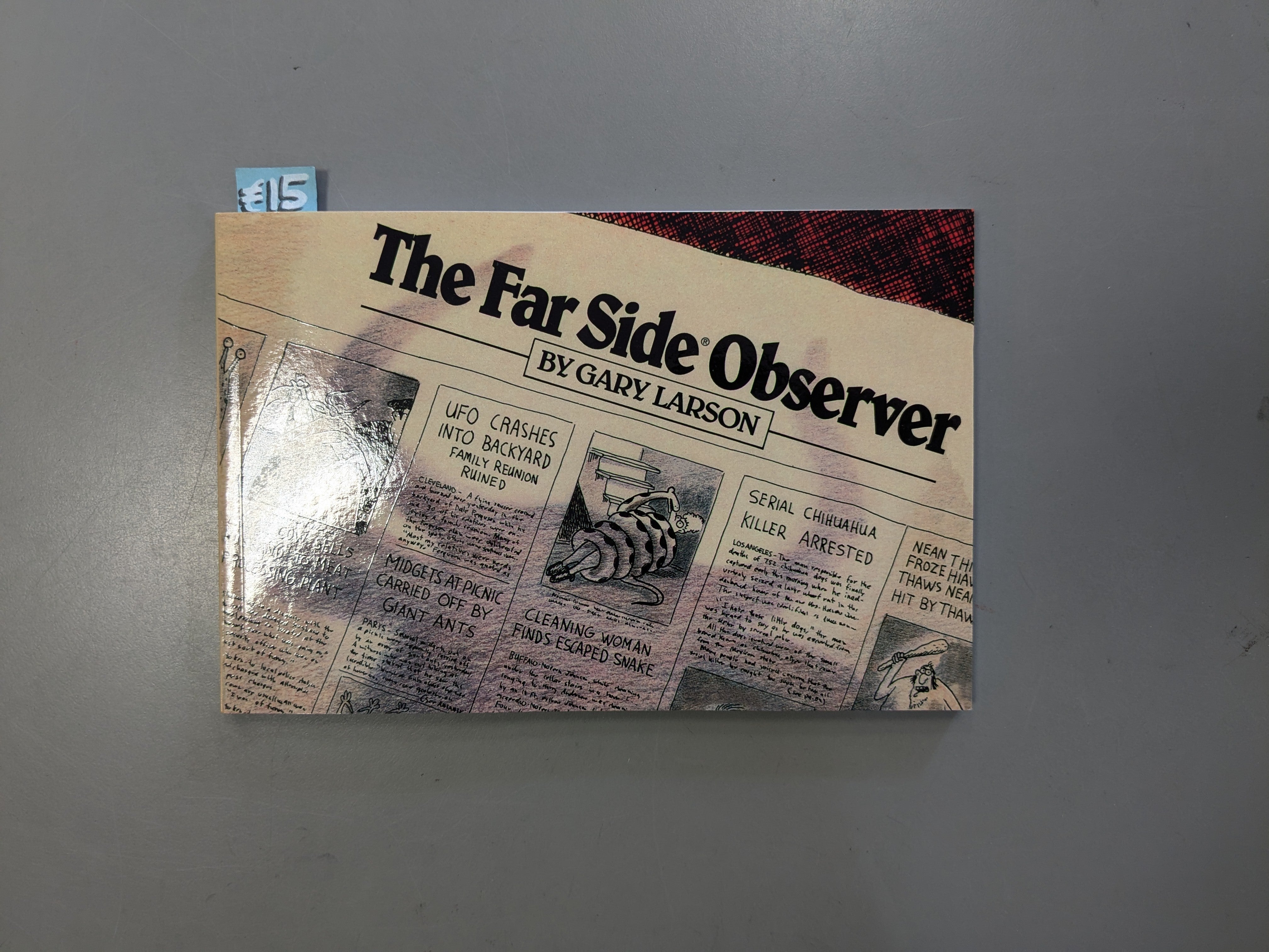 The Far Side Observer – Little Deer Comics